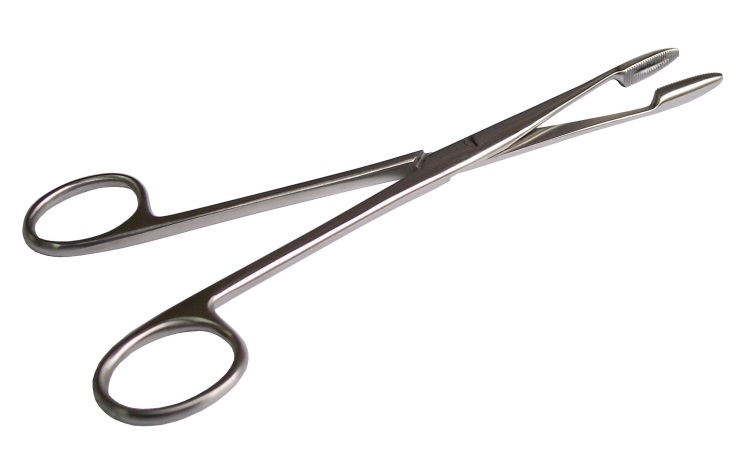 PINZA DISECCIÓN M.W. MAIER - Fleming SA